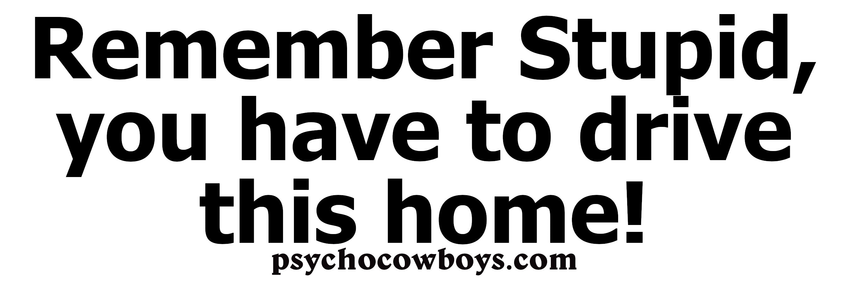 Remember Stupid, you have to drive this home! Dashboard Bumper Sticker ...