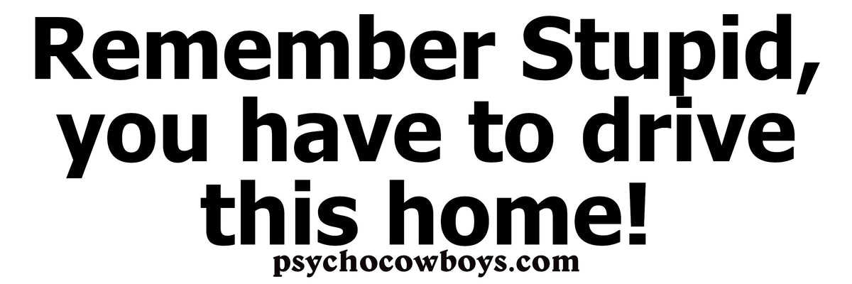 Remember Stupid, you have to drive this home! Dashboard Bumper Sticker ...
